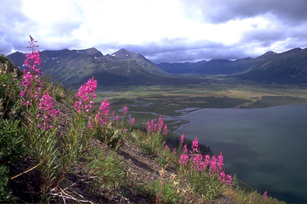 Stikine River Canoeing | Nahanni River Adventures