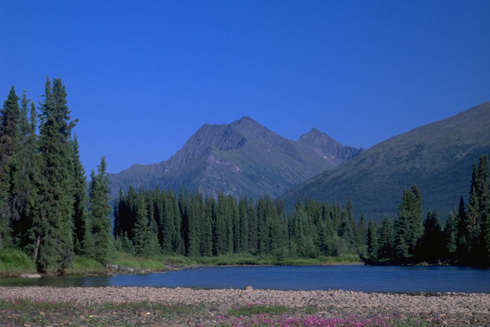 Stikine River Canoeing | Nahanni River Adventures