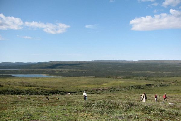Thelon River Canoeing, NWT, Canada | Canadian River Expeditions